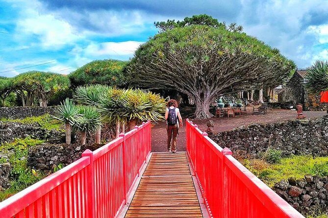 Wine Tour - The Sum Up