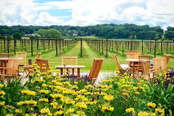 Wine Tours of Kent Private group booking - Who Should Consider This Tour?