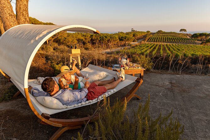 Winemaker's Alcove at Tenuta delle Ripalte - FAQs