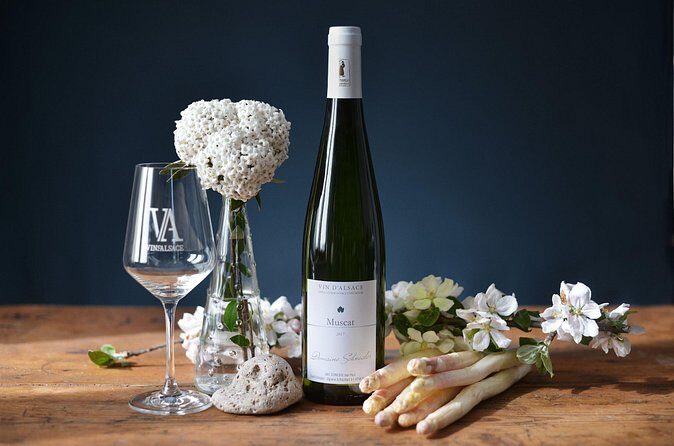 Winemaker's aperitif with Wine Tour and Wine Tasting - Accessibility and Booking