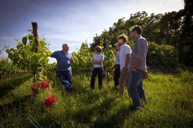 Winery Tour and Tasting on Padua Hills - The Tasting Experience
