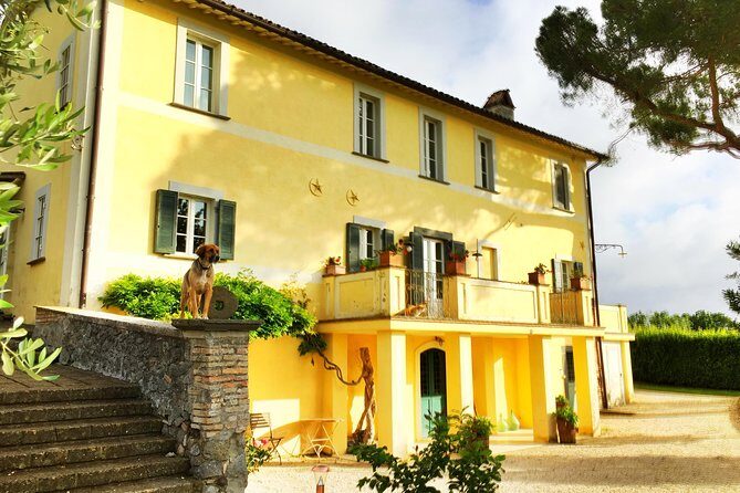 Winery tour and wine, cheese & charcuterie tasting - What Makes This Tour Stand Out?