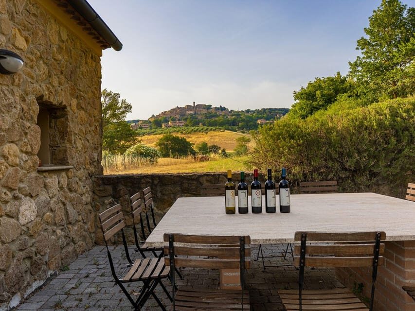 Winery Tour & Wine Tasting with Food near Livorno & Pisa - Exploring the Winery Tour & Tasting Experience