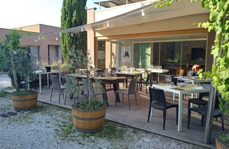 Winery Tour with Wine & Food Tasting near Riccione & Rimini - Inside the Production Area: Learning the Art of Winemaking