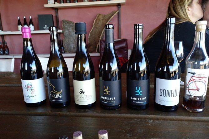 Wines Tasting and Typical Breakfast Small Group Tour from Girona - Transport, Group Size, and Value