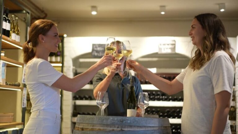 Winetasting / Weinprobe Koblenz - Arrival and Setting