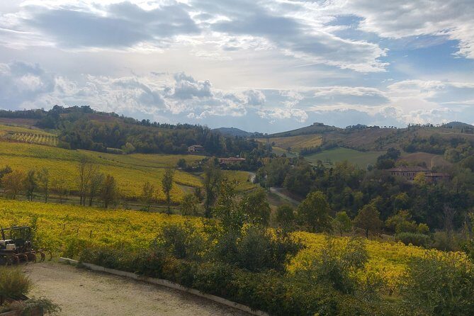 Winetour and tasting on Bologna hills, guided by the wine grower - Practical Details