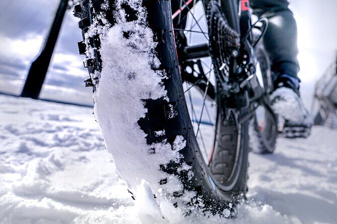 Winter Fatbiking in Ivalo (2 hours) - The Sum Up: Is the Ivalo Fatbiking Tour Worth It?