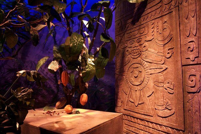 Winter Gruyères, chocolate & cheese tour from Lausanne - What’s Included and What’s Not