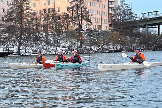 Winter Kayak Tour in Stockholm City (Dry Suit Kayaking) - The Paddling Experience