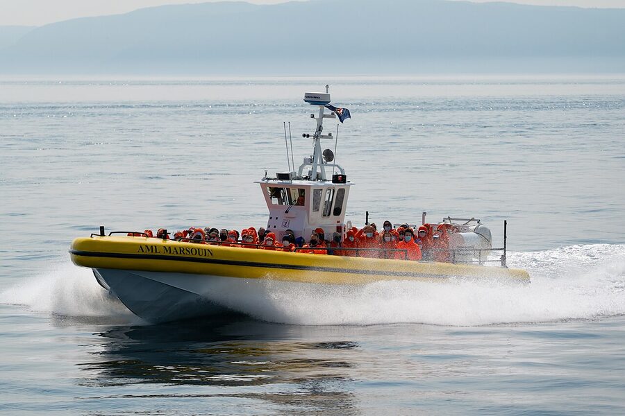 Large whale watching cruise boat near Tadoussac