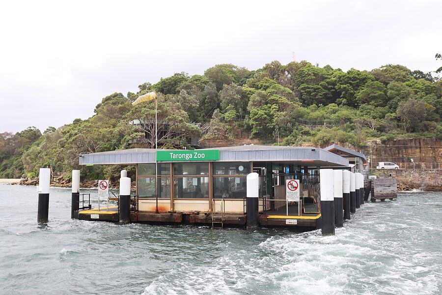 Taronga Zoo ferry wharf seen from the water