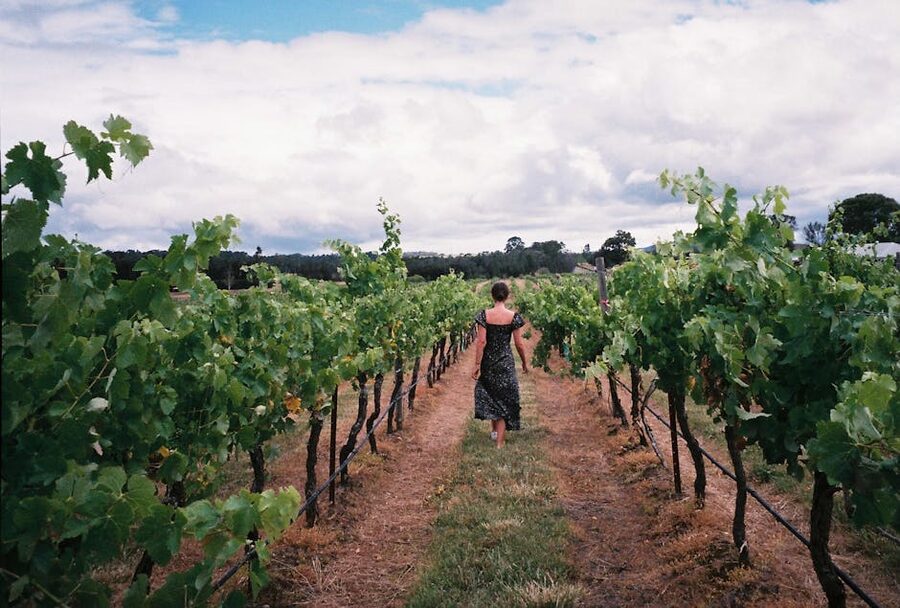 Woman walking through a NSW vineyard on a sunny day