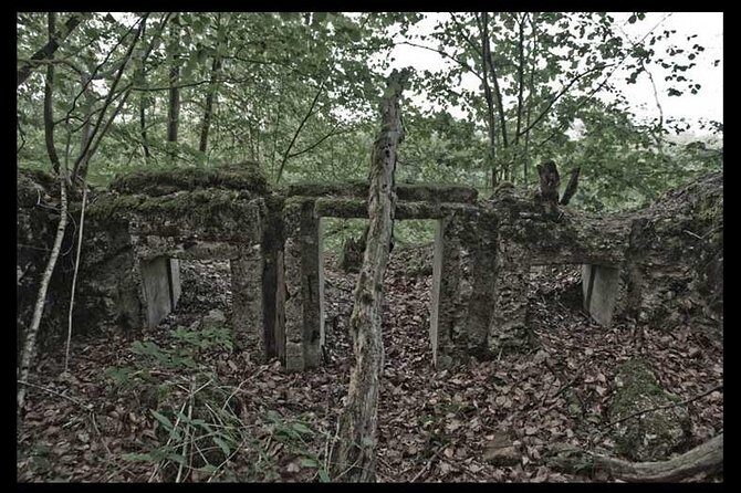 World War I Tour of Northern France; the Argonne Forest - Walking Conditions and Preparation