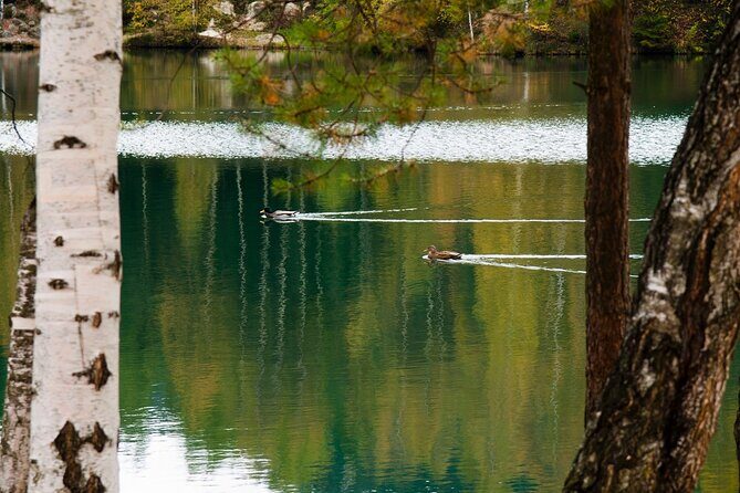 Wroclaw to Rock City in Adrsprach - Who Will Love This Tour?