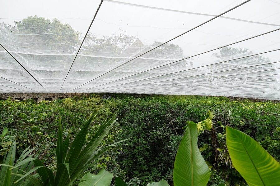 Xcaret butterfly pavilion enclosure mesh canopy