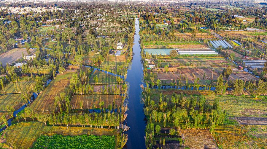 Aerial view of the Xochimilco canals in Mexico City