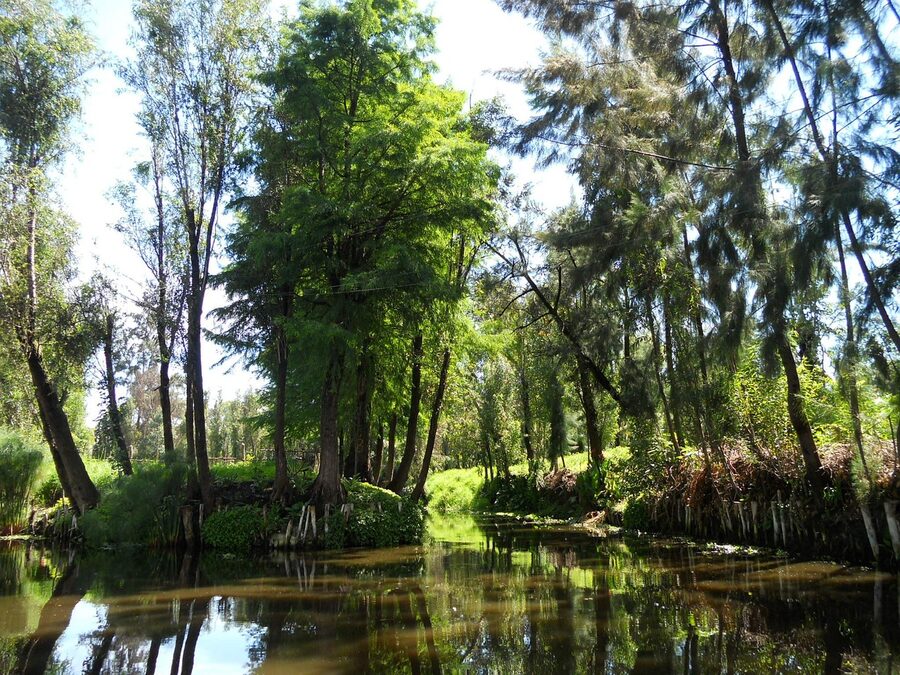 Trajinera barge on the Xochimilco canal