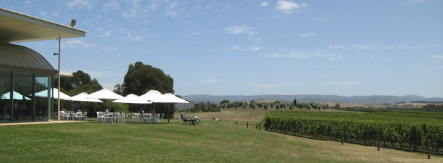 Domaine Chandon tasting room and outdoor terrace, Yarra Valley