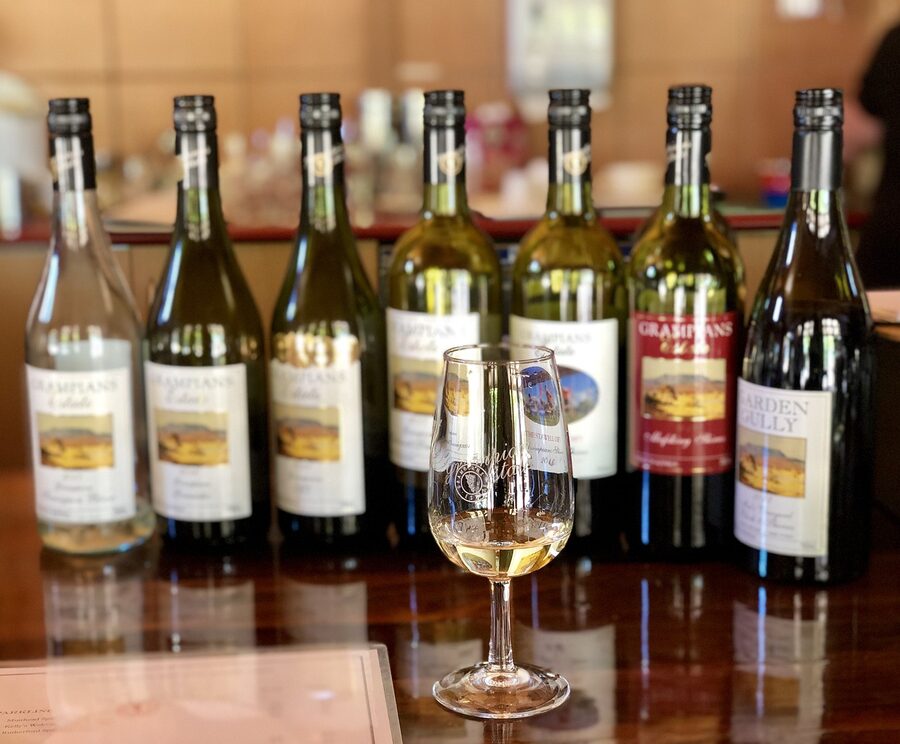A wine tasting flight with multiple glasses at a cellar door
