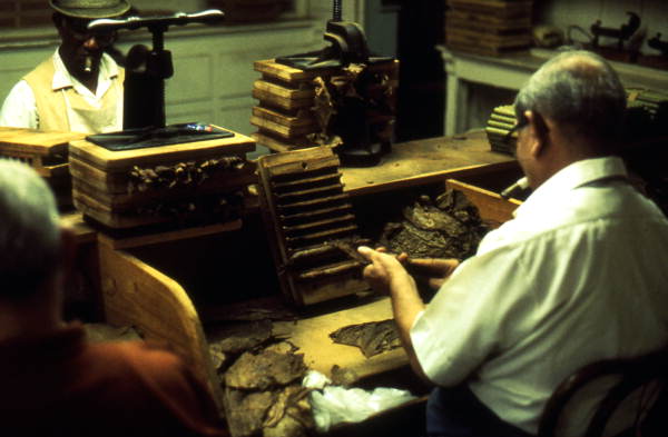 Cuban cigar makers at work in a Ybor City factory historic photograph