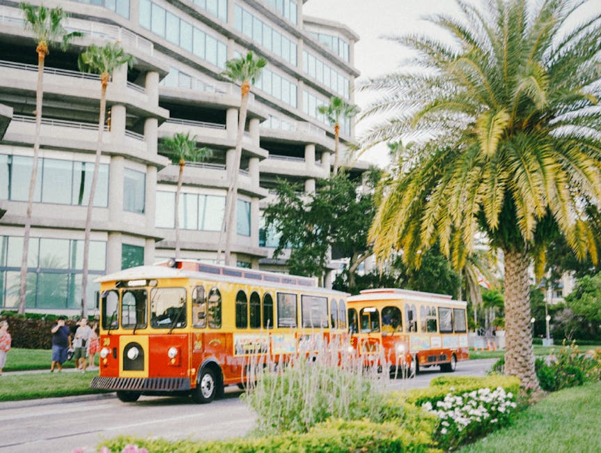 Tampa street with trolleys palm trees and modern architecture