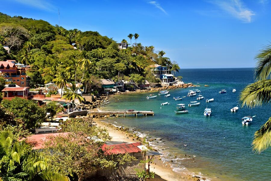 Yelapa bay scene with local boats and hillside greenery