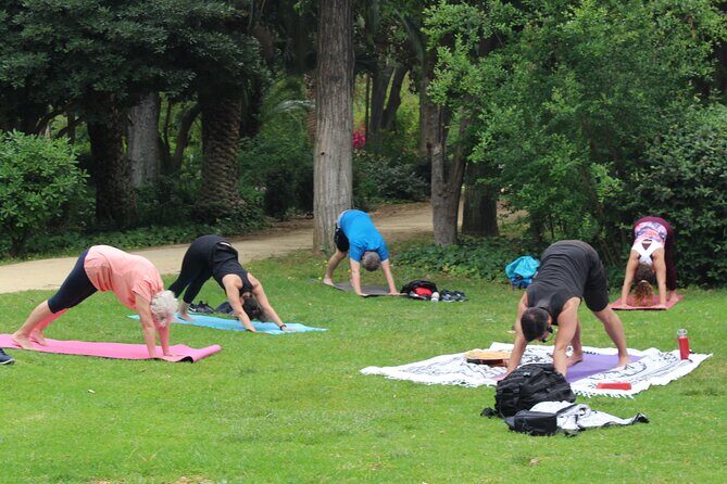 Yoga at María Luisa Park in Seville - Who Will Love This Experience?