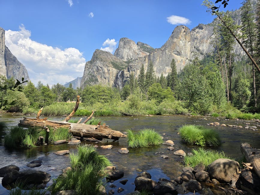 Yosemite Valley greenery with towering cliffs