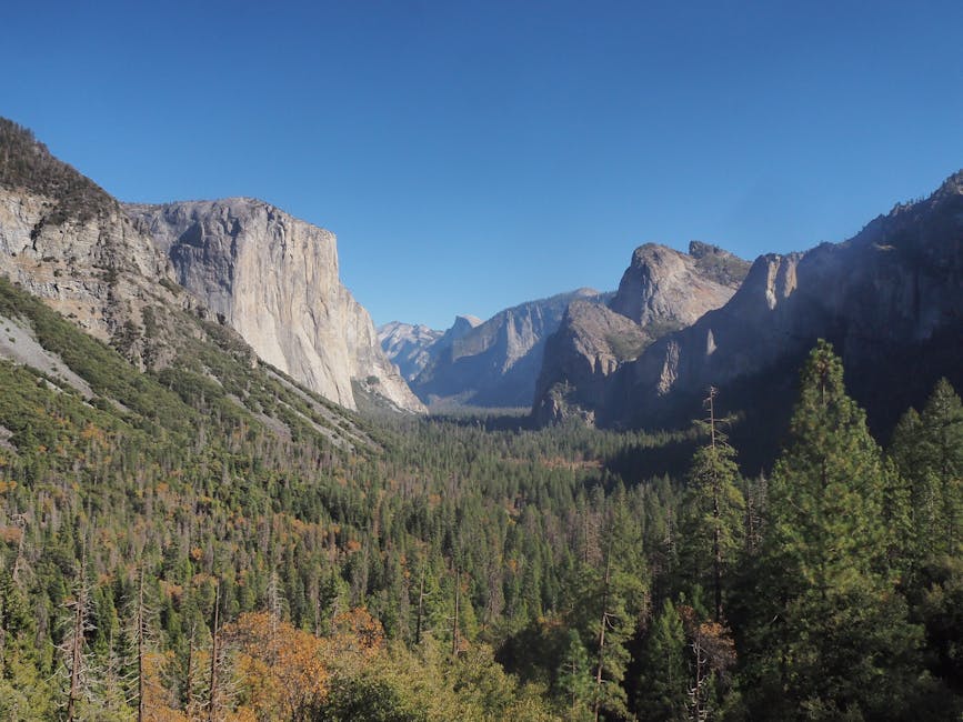 Yosemite Valley panorama with El Capitan and Half Dome under clear blue sky