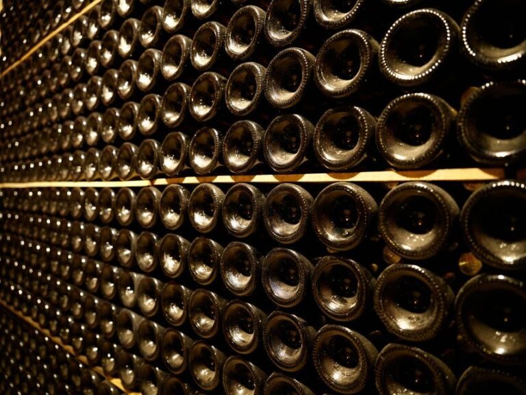 Your Cava, Your Story  Wine workshop experience at Artcava - The Journey Begins: Easy Access and Arrival
