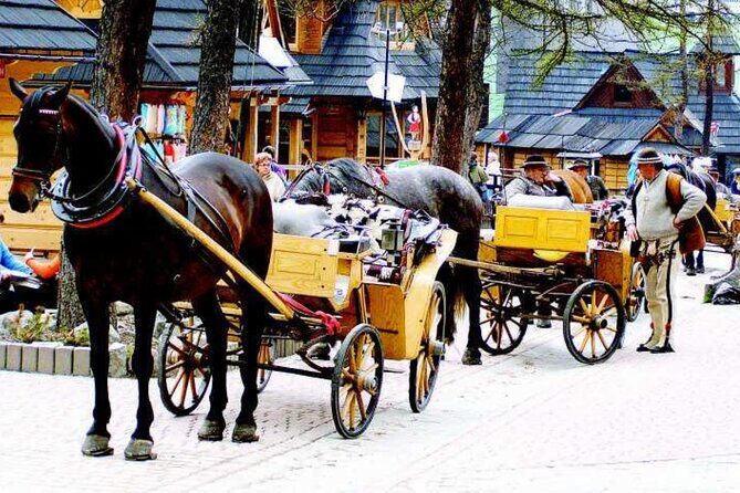 Zakopane full day tour with cable car & thermal baths from Krakow - Practical Details and Experience Insights