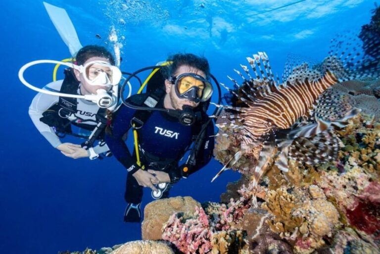 Zakynthos: Scuba Diving Experience with Underwater Photos - Real Traveler Insights