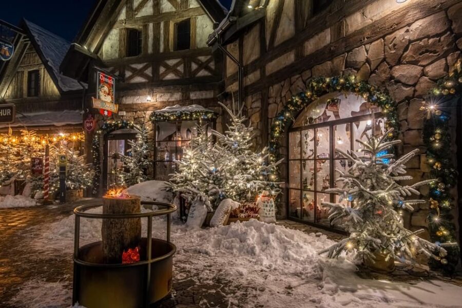 Zator: Energylandia Amusement Park Entry Ticket - Who Is This Park Best For?