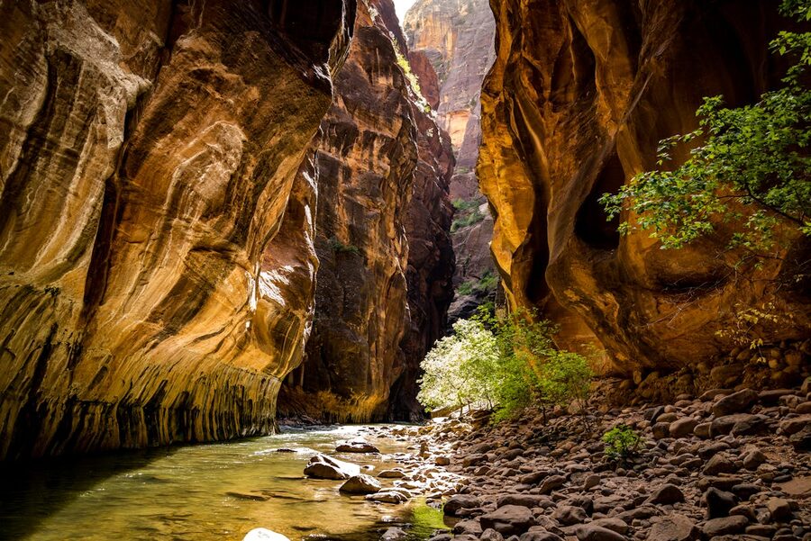 Zion National Park canyon with flowing river Springdale