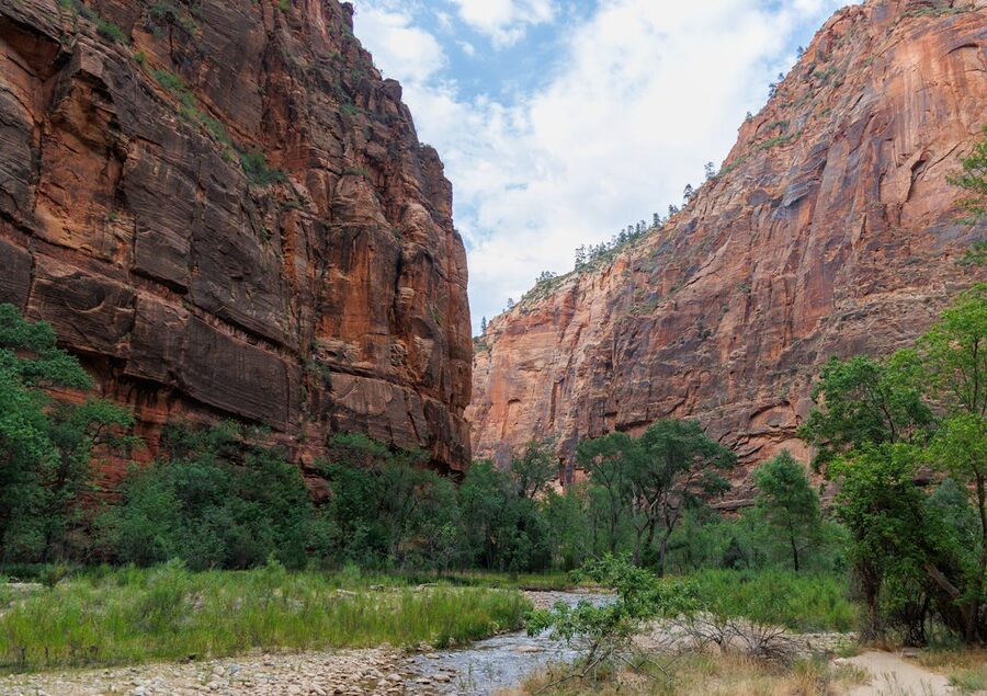 Zion National Park red cliffs and green trees landscape Utah