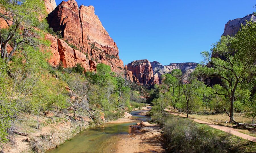Zion canyon red rocks and flowing river under clear blue sky