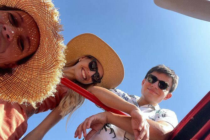 1/2 day private Vintage tour, vineyards of Saint-Tropez - Why the Experience is Valuable