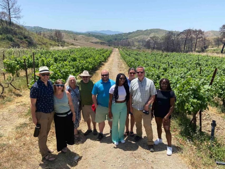 11 Course Lunch, Wine Tasting & Cooking Mastery in Rhodes - Exploring Rhodes Wine Heritage