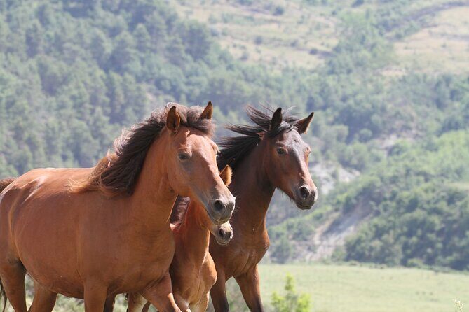 2-Hours Guided Drino's Valley Ride - Who Will Love This Tour?