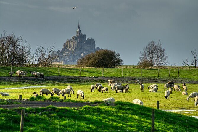 2 Hours Private Walking Tour of Mont Saint Michel - Practical Details: What to Expect