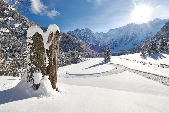 3-Hour Guided Snowshoeing Adventure in the Slovenian Alps - Pricing and Value Analysis