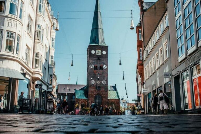 Aarhus City Highlights Private Tour - Practical Details & Why They Matter