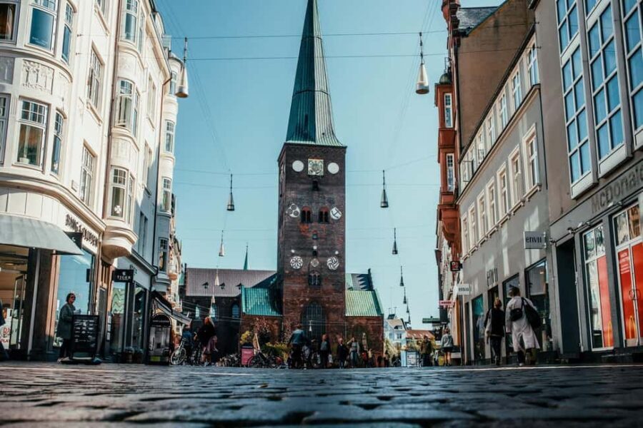 Aarhus City Highlights Private Tour - Practical Details & Why They Matter