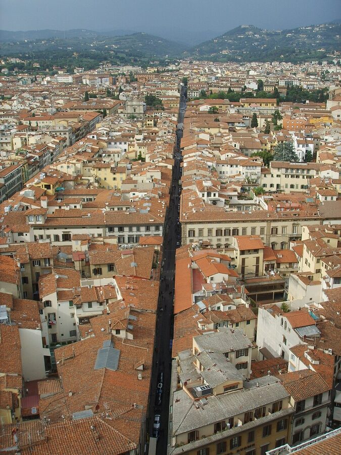 Via Ricasoli the Florence street where the Accademia stands