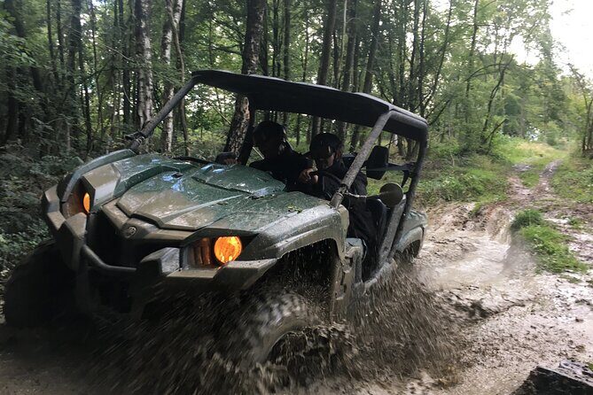 Adventure 1h with a 3-seater Buggy - Analyzing the Value