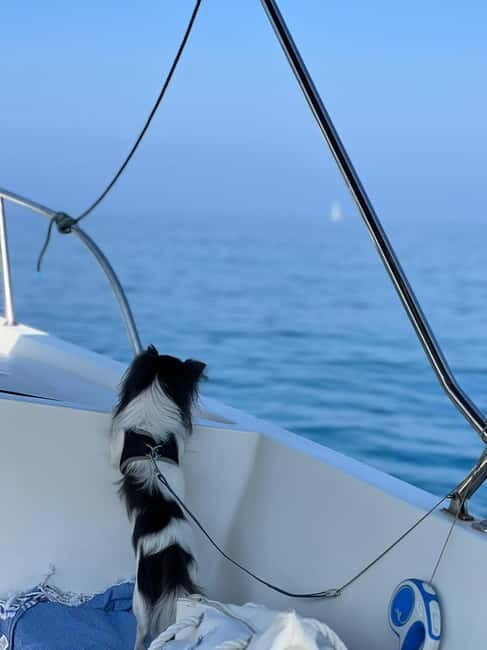 Agropoli: sunset boat tour with aperitif - The Aperitif and Food Experience