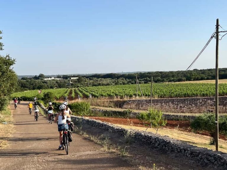 Alberobello: Guided e-bike tour to Locorotondo + gelato - Final Thoughts