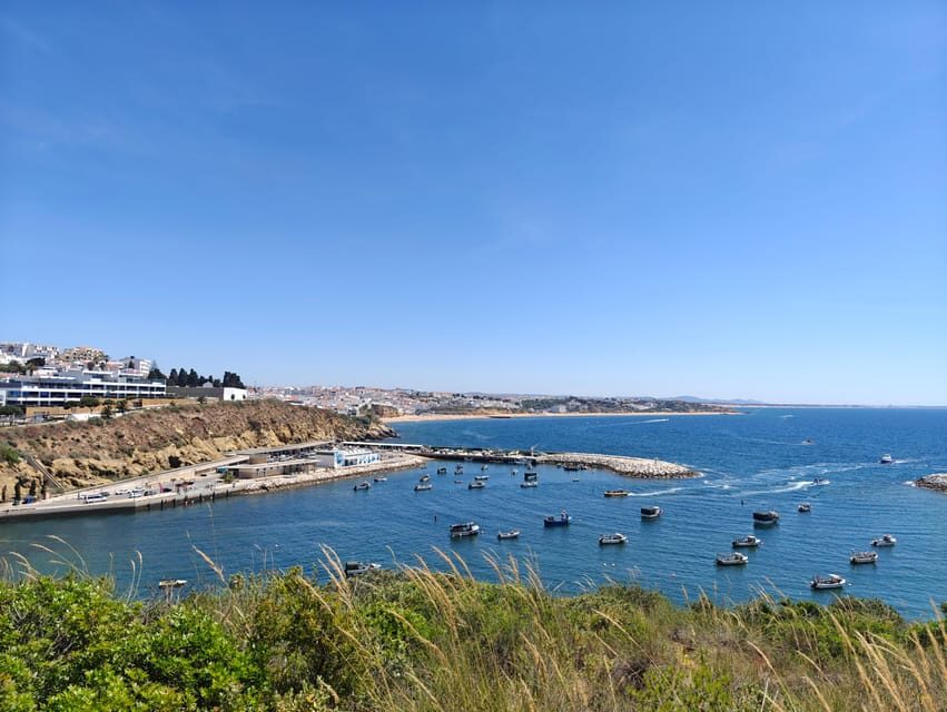 Albufeira: Albufeira Marina & west coast Tour 1.5h - What Travelers Say