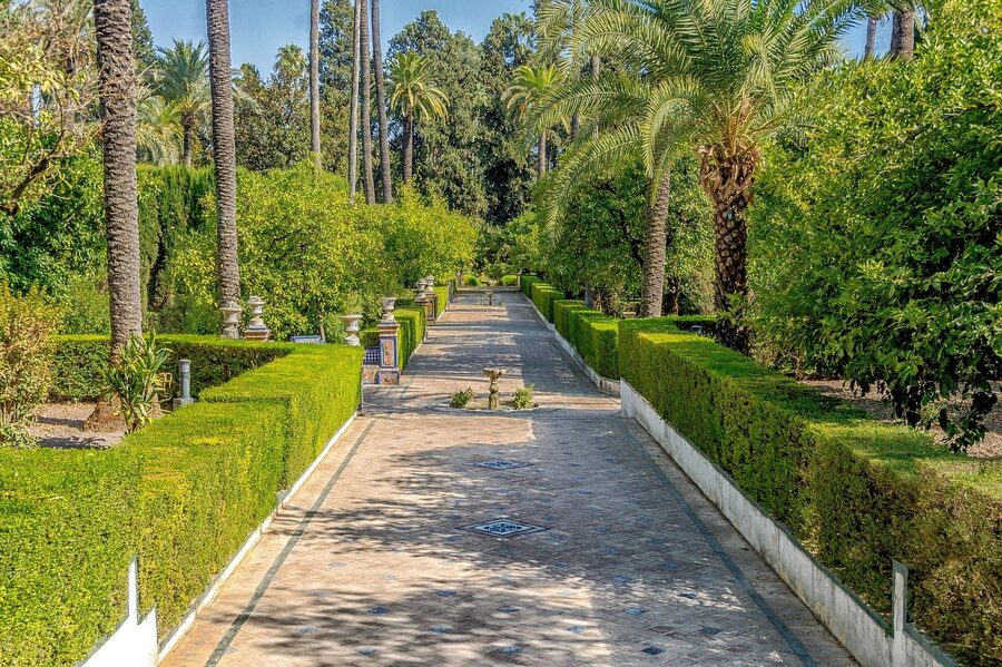 Garden walkway with palm trees at Alcazar Seville